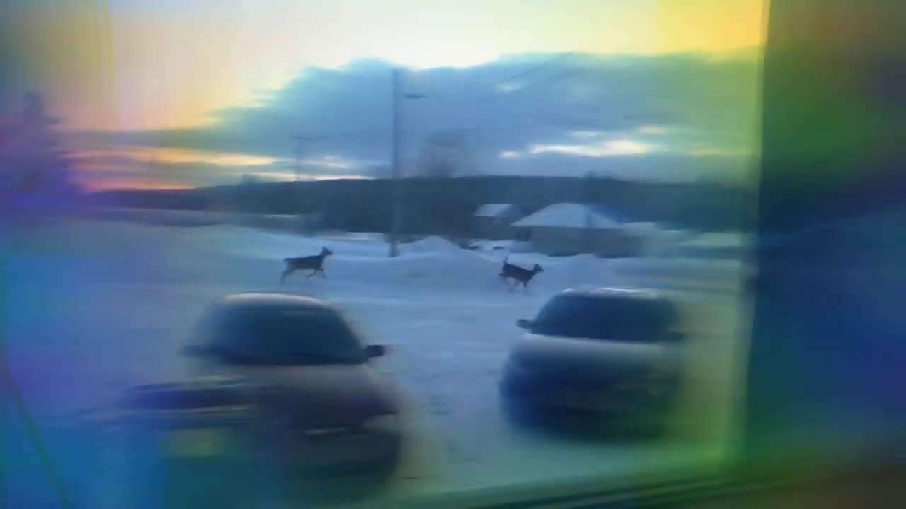 December 24, 2016 - YouTube