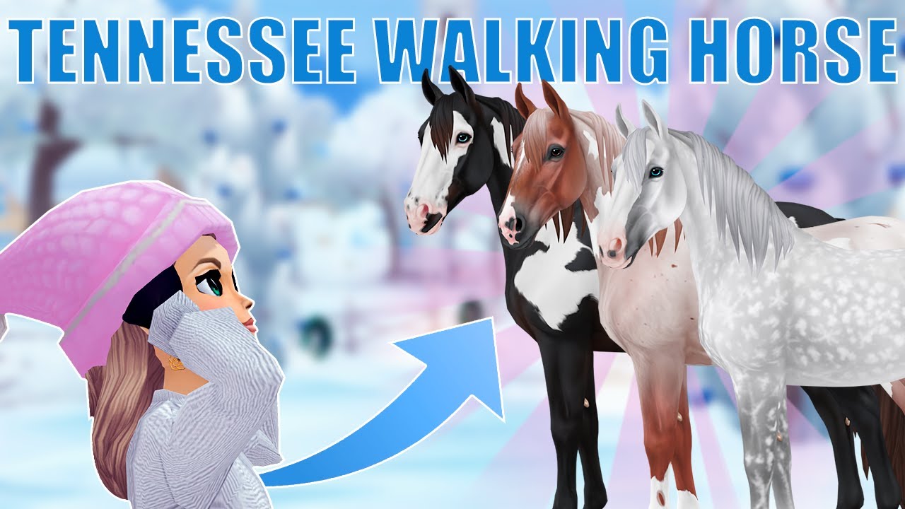 KØBER DEN NYE TENNESSEE WALKING HORSE?! | Dansk Star Stable Online ...