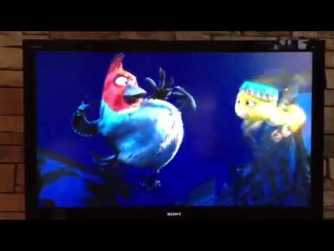 Rio Movie Clip- I'm Not Your Princess - YouTube