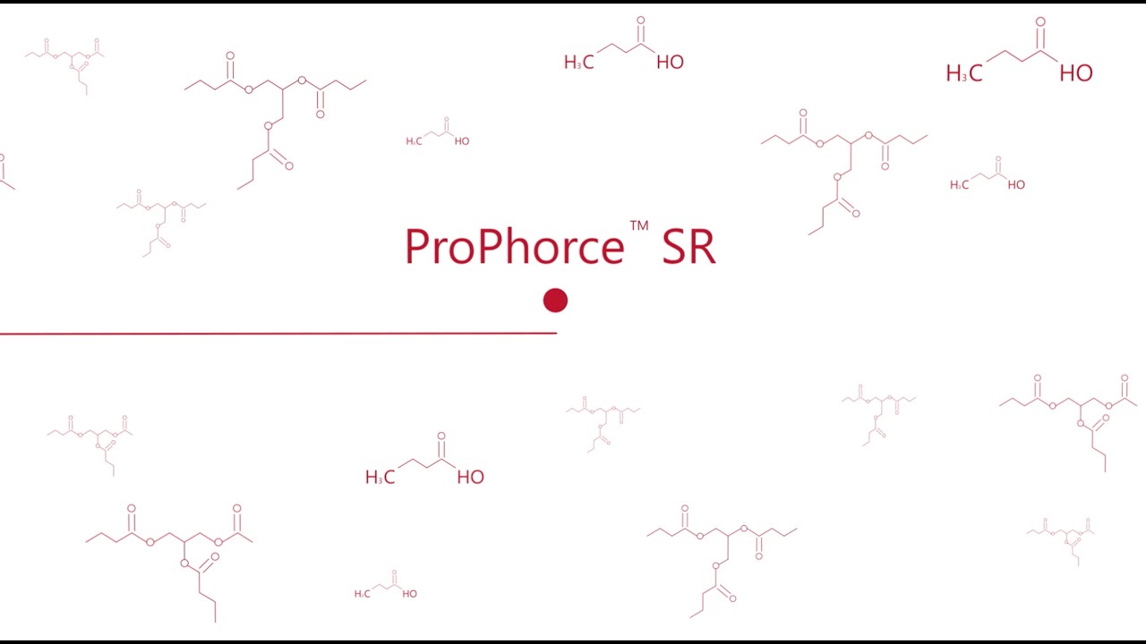 ProPhorce™ SR by the numbers - YouTube