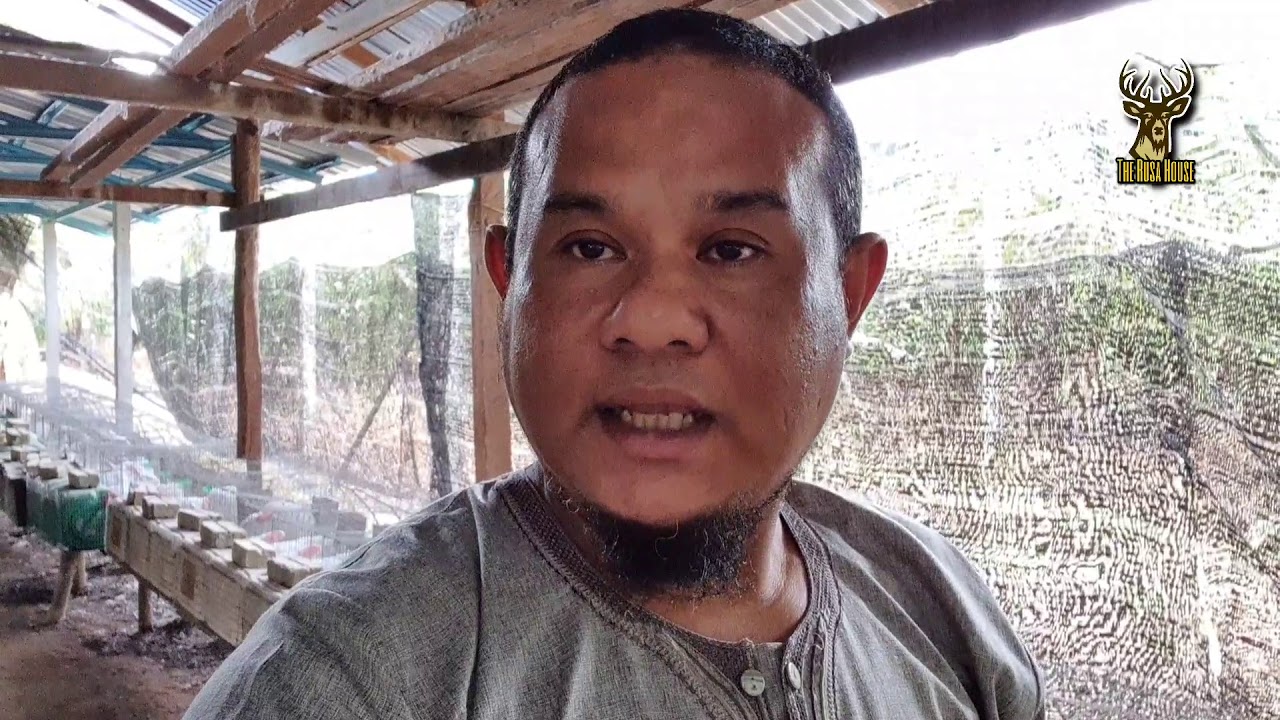 Rumah makan rusa - YouTube