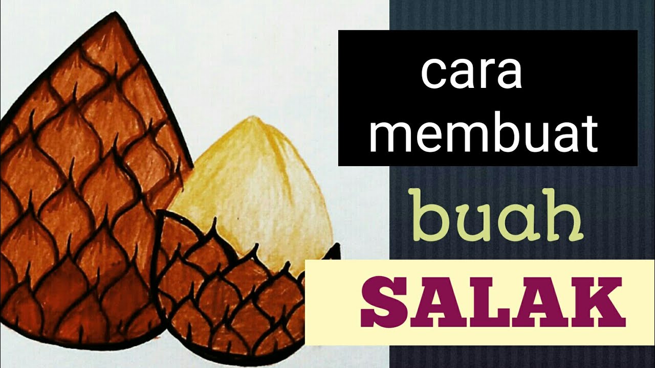 CARA MEMBUAT BUAH SALAK ll cara menggambar dan mewarnai buah salak ...