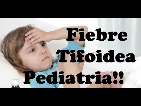 Fiebre Tifoidea / Pediatría!! - YouTube