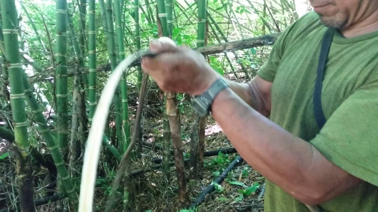 Bamboo raft build part 6 - YouTube