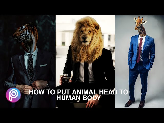 Lion Head Human Body 9+ Hundred Body Lion Head Human Royalty Free