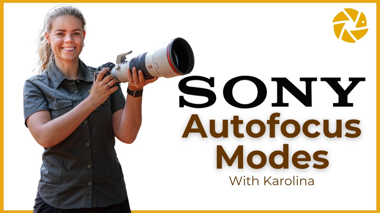 Sony Autofocus Modes Explained by Karolina - YouTube