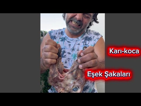 2026 Eşek Şakaları 😀 Gülme Garantili 😀