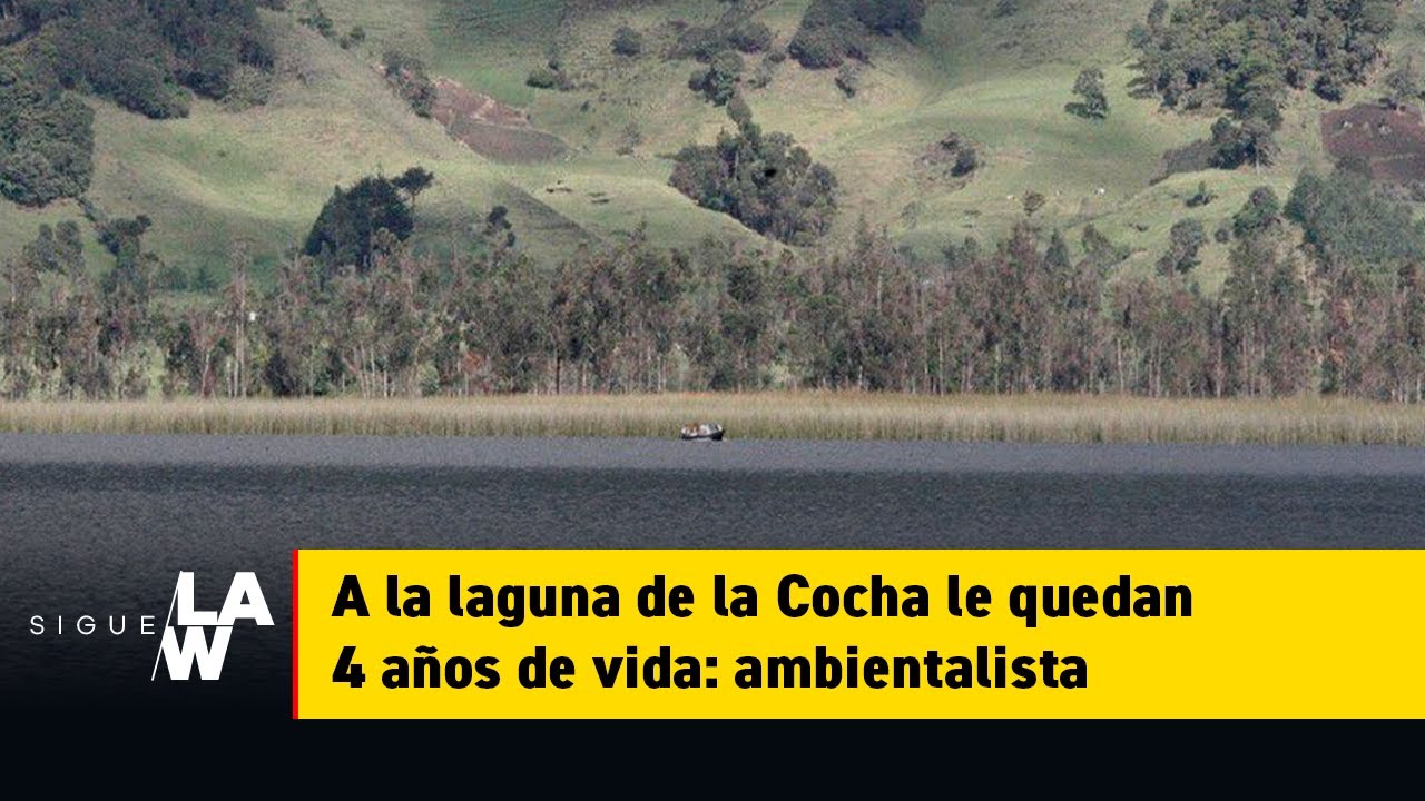 A la laguna de la Cocha le quedan 4 años de vida: ambientalista - YouTube