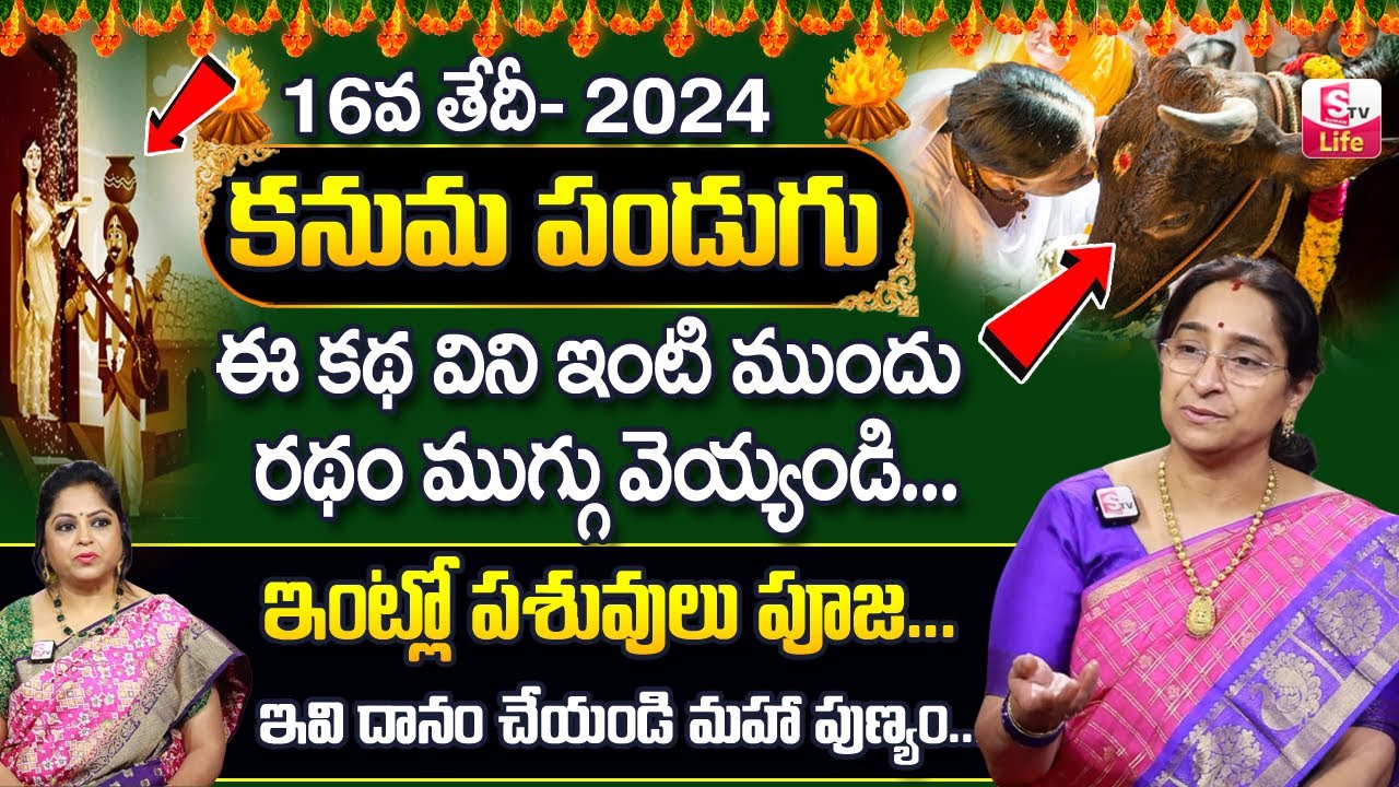 Kanuma Festival Significance 2024 | Bhogi Sankranti and kanuma festival ...