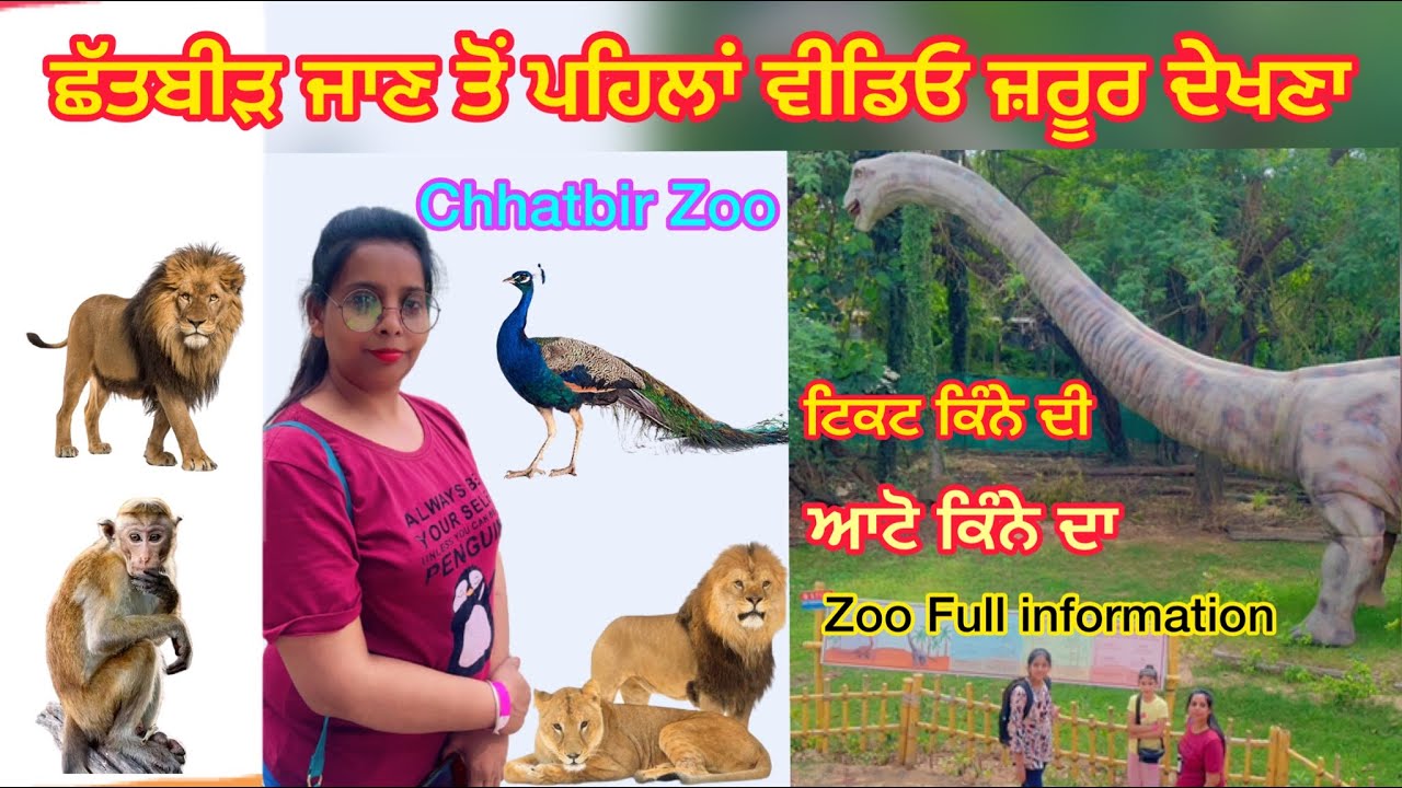 Chhatbir Zoo Full Information about timing ticket price || ਛੱਤਬੀੜ - YouTube