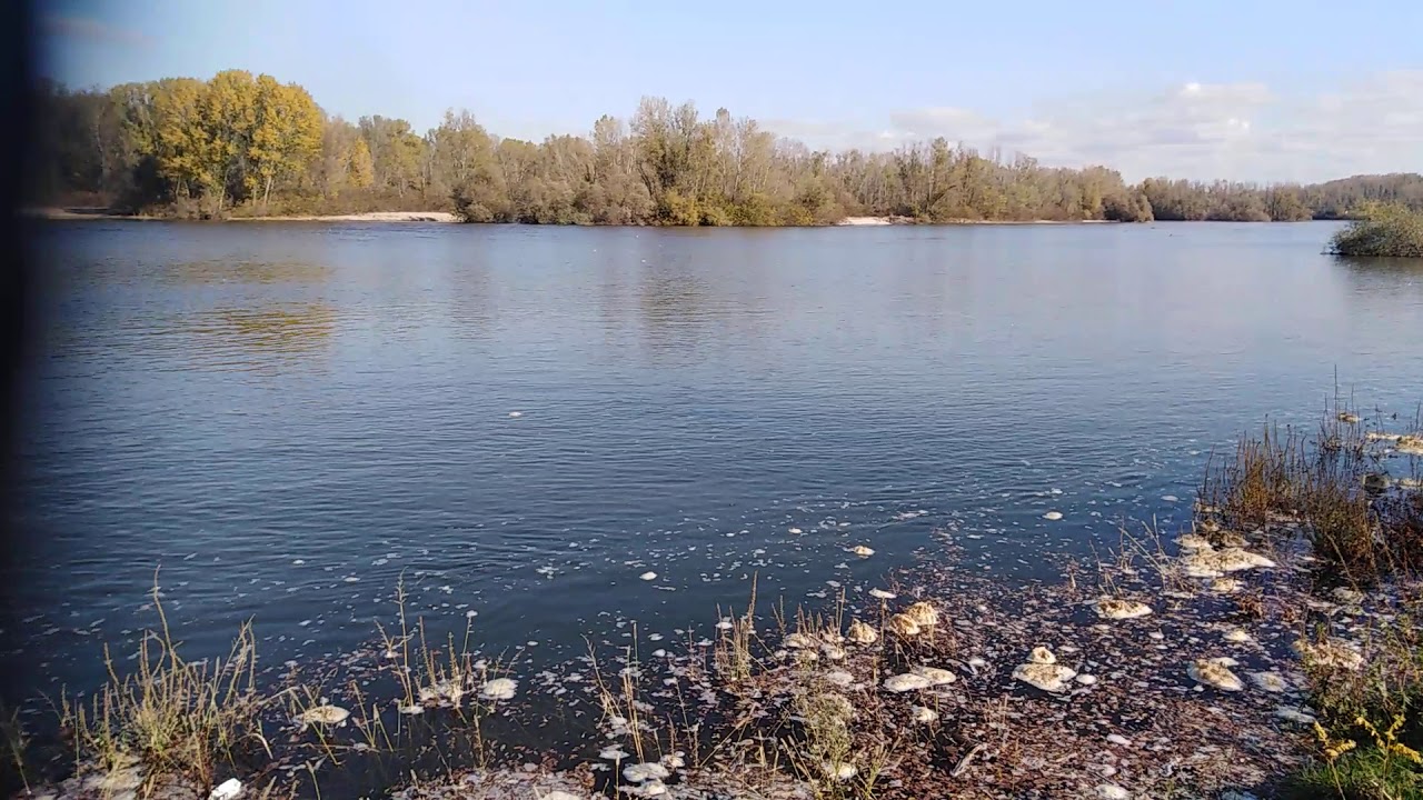 2.11.2019 Μετά Από Καιρό Ο Ποταμός Αρδας Έχει Νερό - YouTube