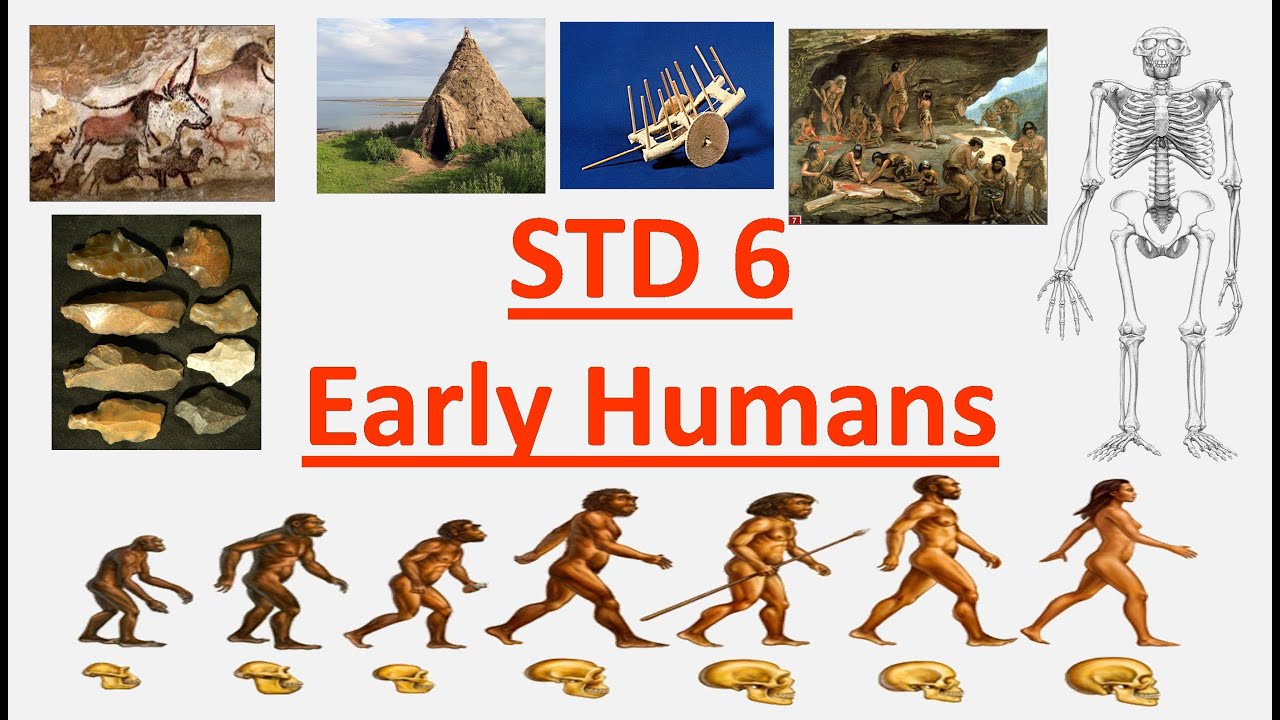 STD 6 Early Humans - YouTube