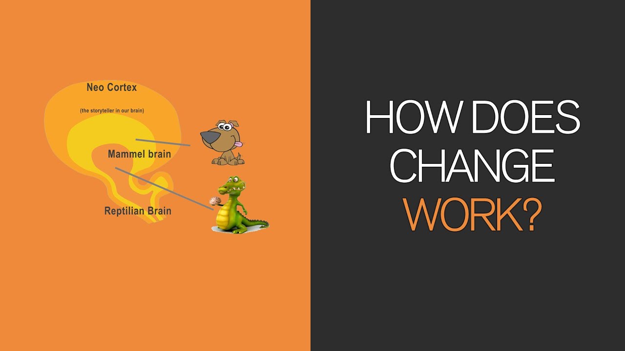 Part 6: How does change work? - YouTube