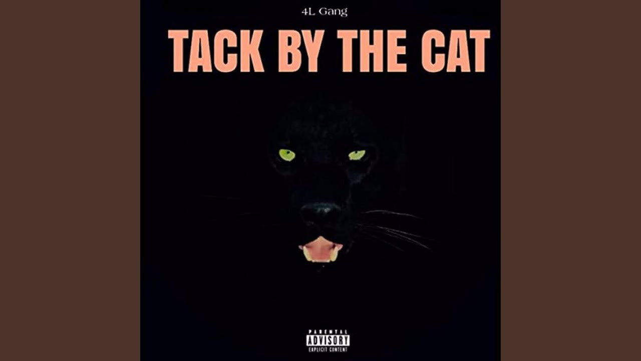 Tack By The Cat - YouTube