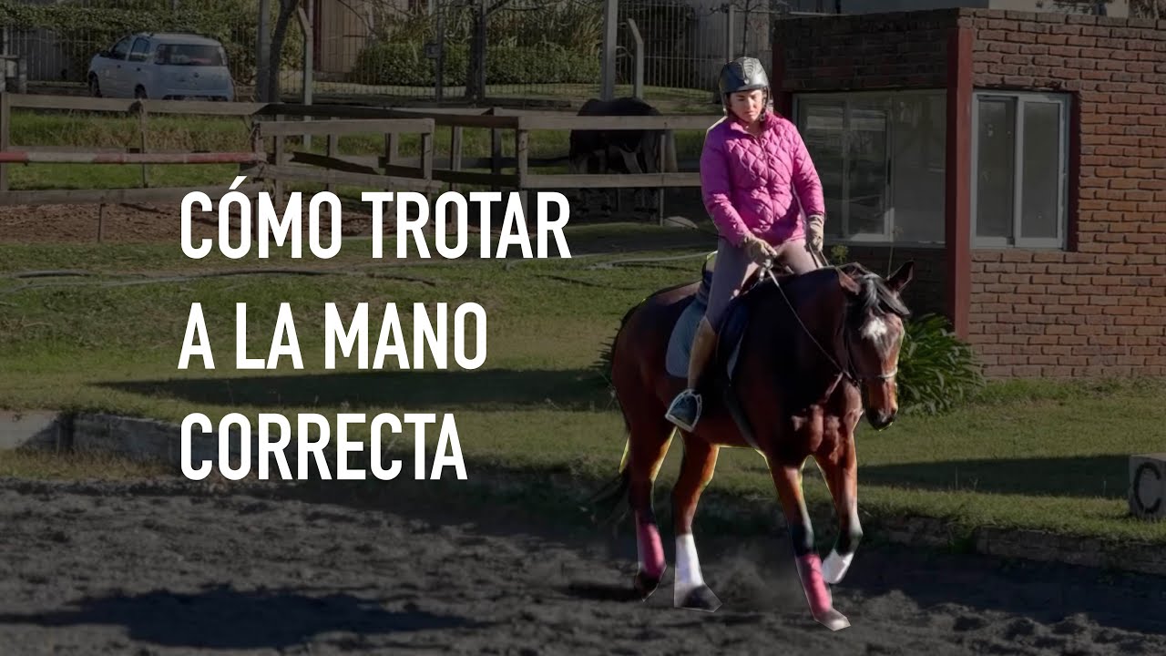 Cómo trotar a la mano correcta - YouTube
