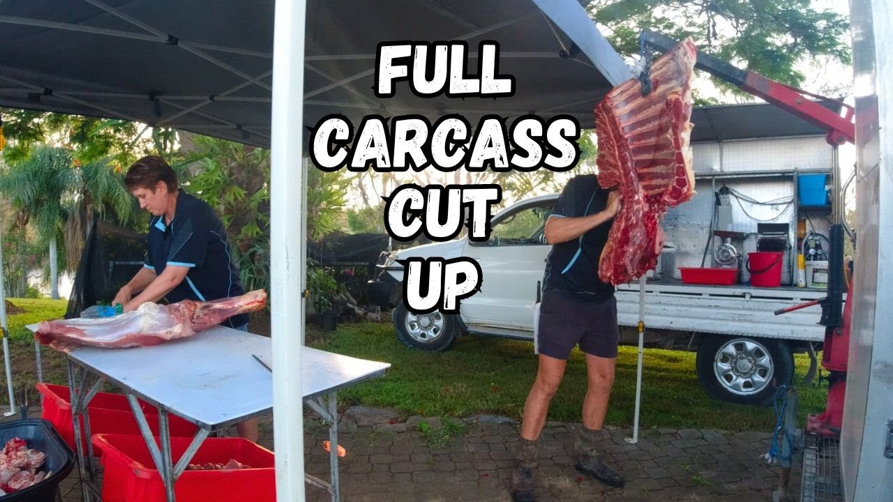 Breaking Down Cow Carcass / Primal Thru To Retail Table Cuts!! - YouTube