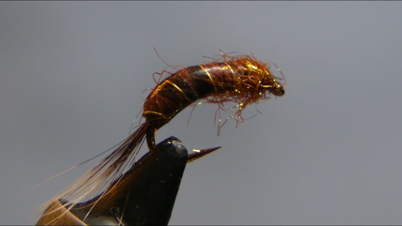 Grub Fly (Catch & Tie) - YouTube