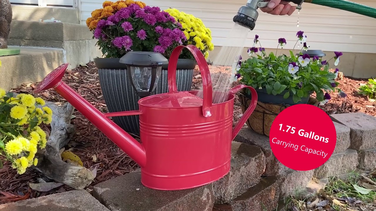 Ashman Red Watering Can for Outdoor and Indoor Plant Watering with 3.75 ...
