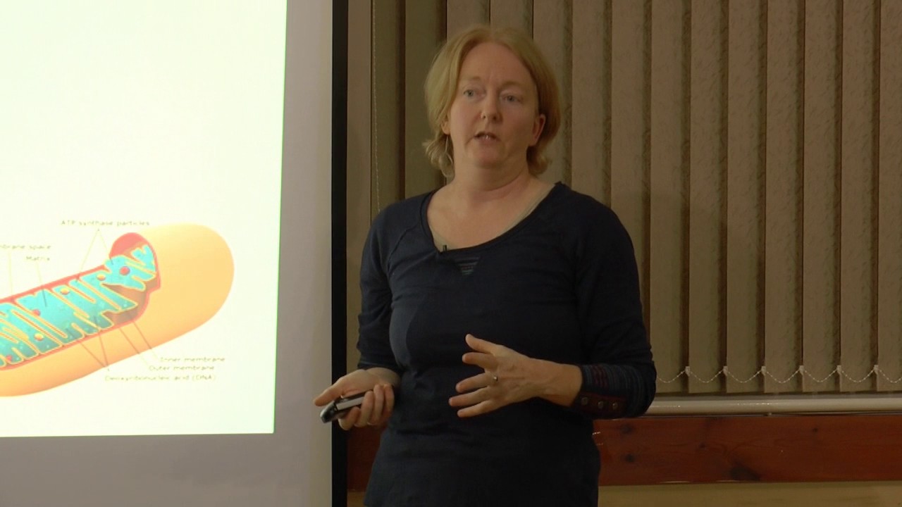 Mind and Body talk part 2 15November2016 - YouTube