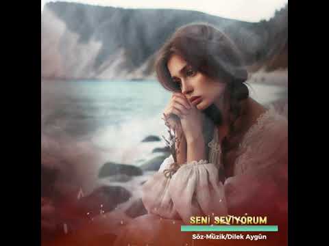Seni Seviyorum - Dilek Aygün Müzik