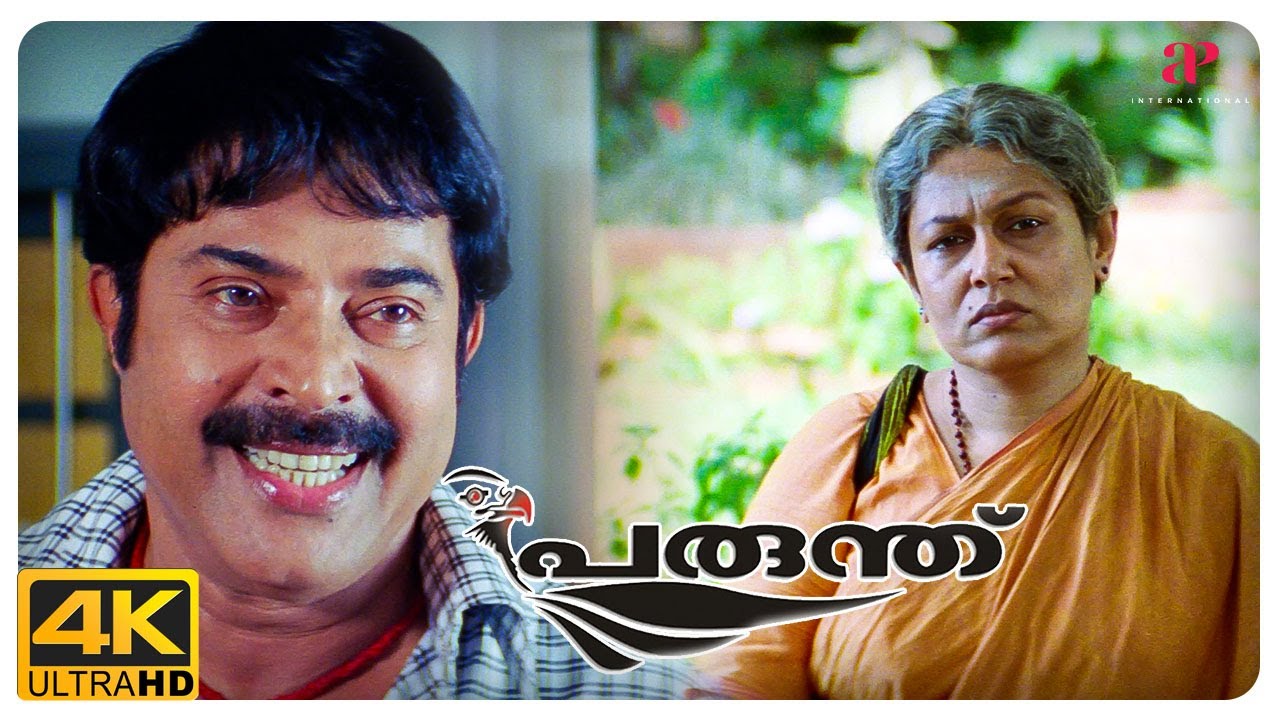 Parunthu Malayalam Movie | What is this chaos between Mammootty ...