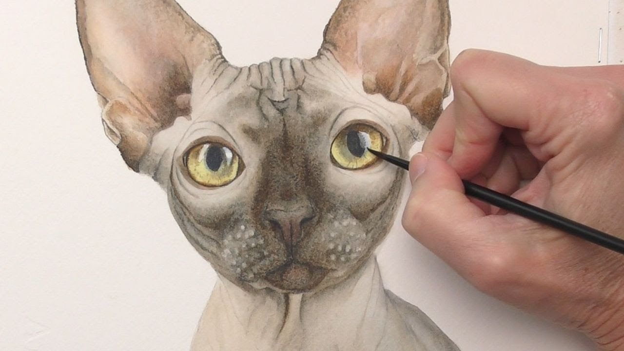 CAT in Watercolor Tutorial - YouTube