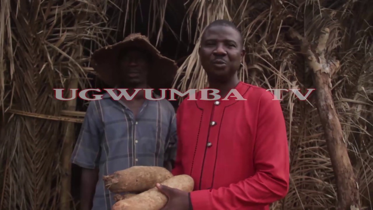 Igbo Yam Barn The Architecture Of Yam Barns: Preserving Igbo Agrarian