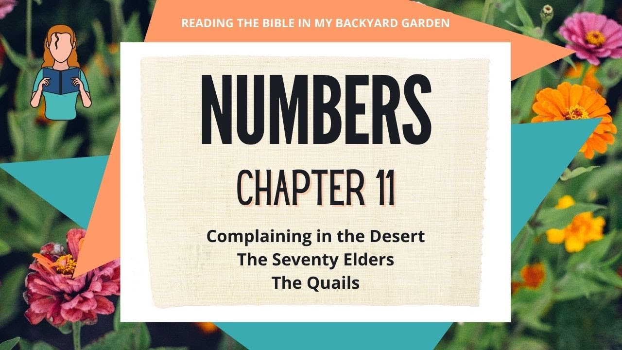 Numbers Chapter 11 | NRSV Bible - Read Aloud - YouTube