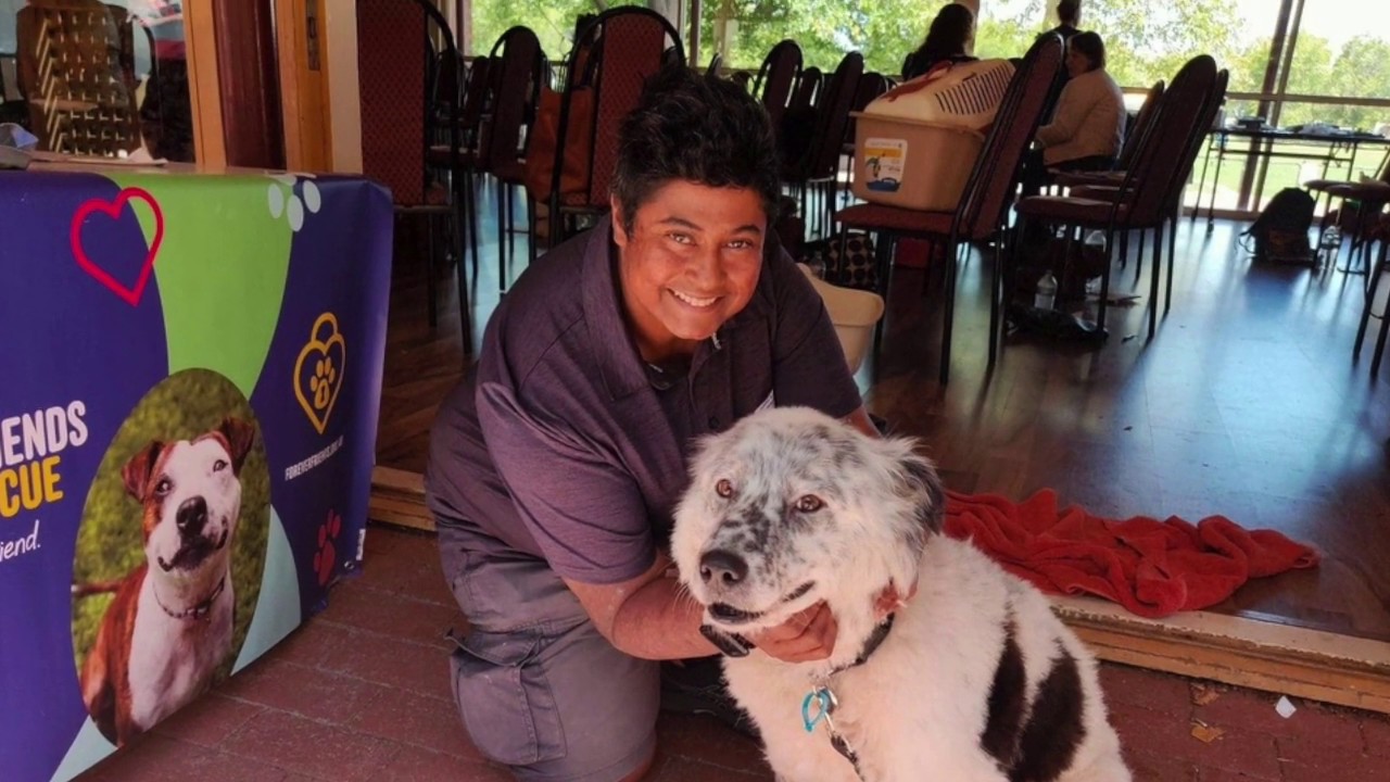 FOREVER FRIENDS ANIMAL RESCUE 2020 ISO FUNDRAISING - YouTube