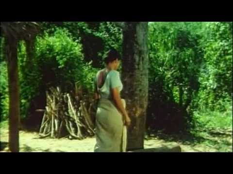 Padadaya 1999 (පාදඩයා) වැඩිහිටියන්ට පමණයි Adult Movie