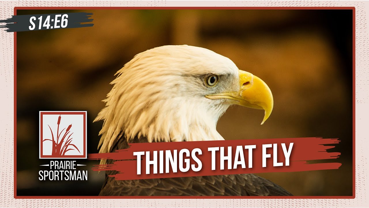Things That Fly | Prairie Sportsman (S14:E6) - YouTube