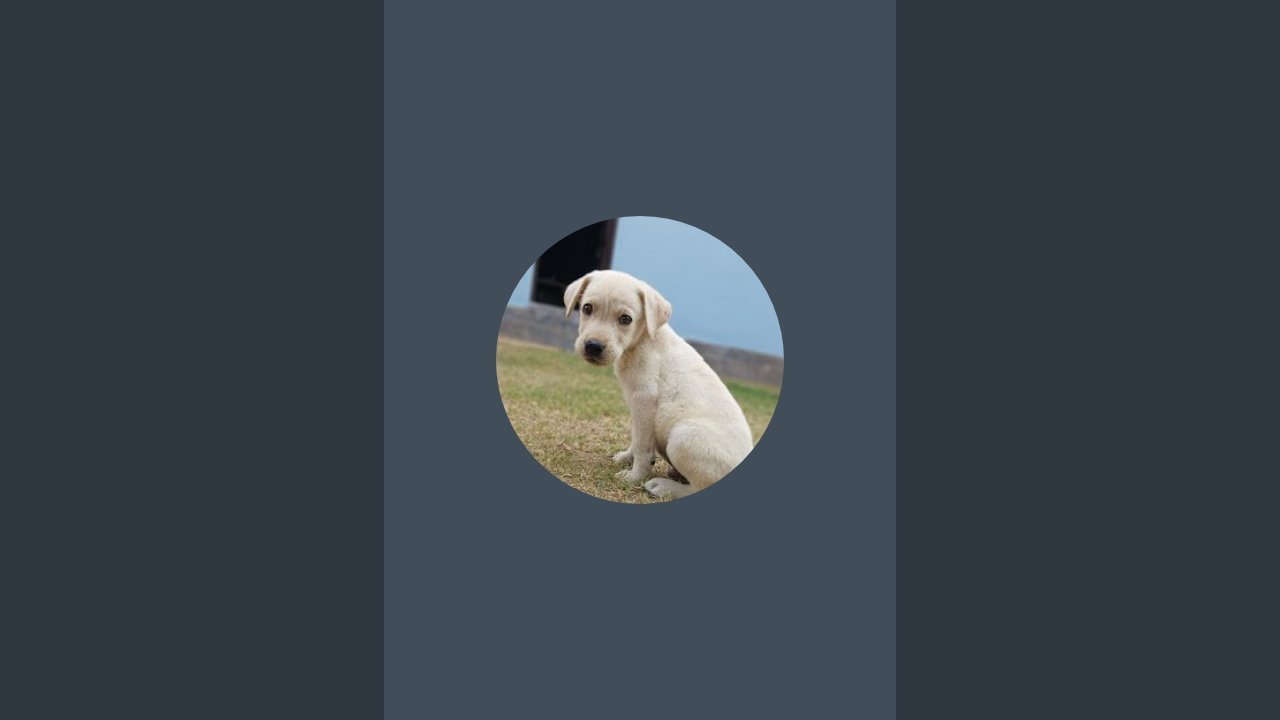 Joe Joy is live For The First time - YouTube