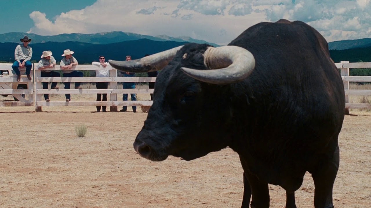 Slap The Bull - YouTube