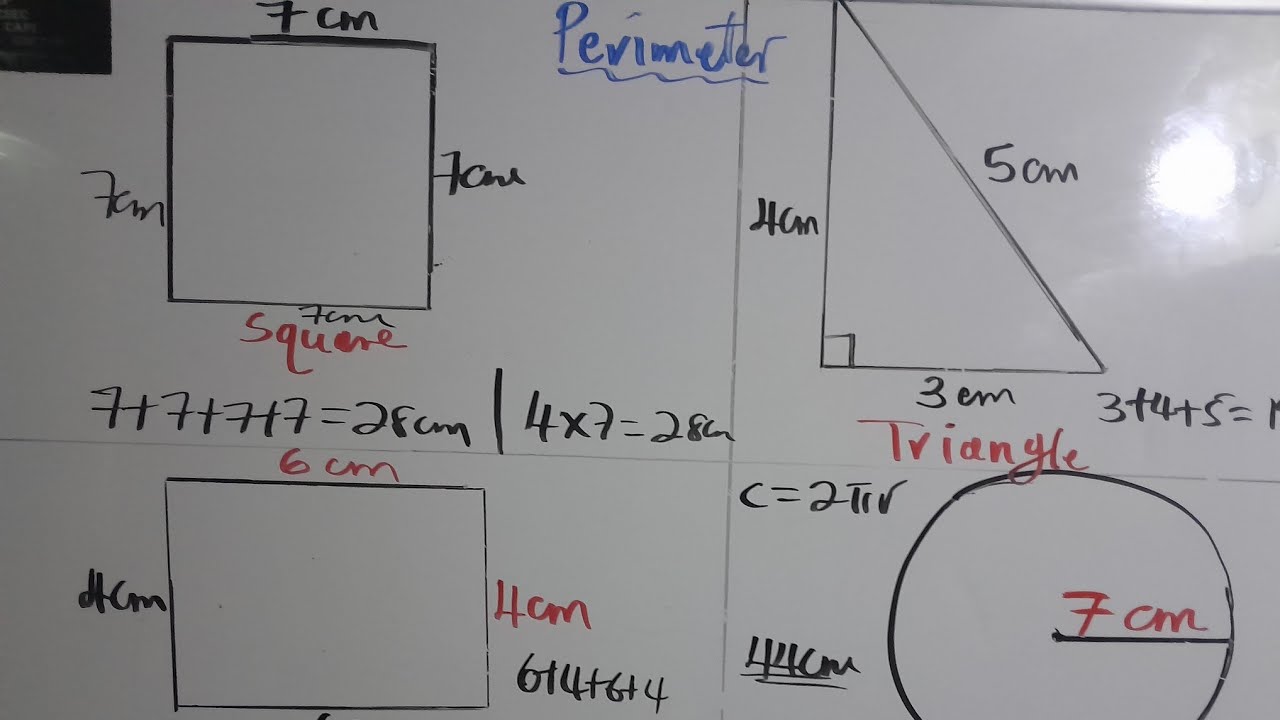 PERIMETER PEP SEA CXC IGCSE SAT MATHS - YouTube