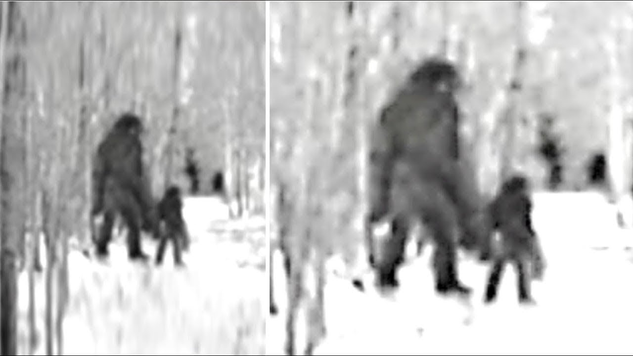 Trail Cam Captures What No One Was Supposed To See - YouTube