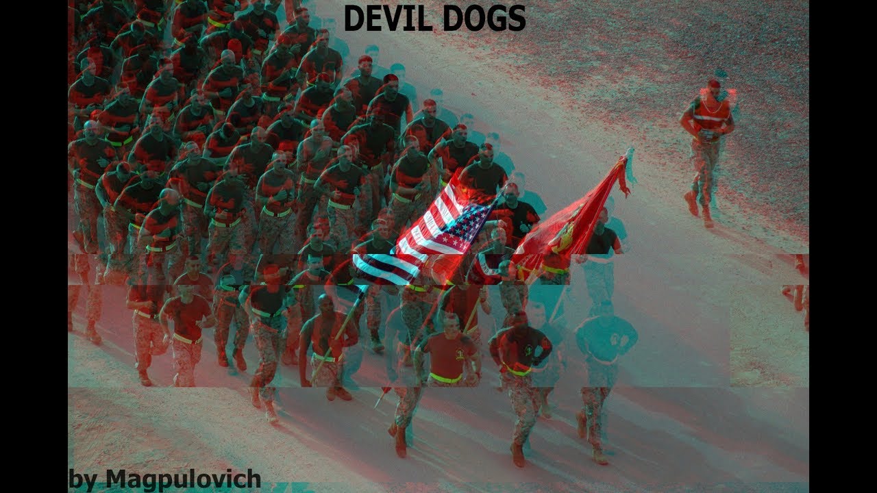 US Marines-Devil Dogs Tribute 'Animalia' | HEROES - YouTube