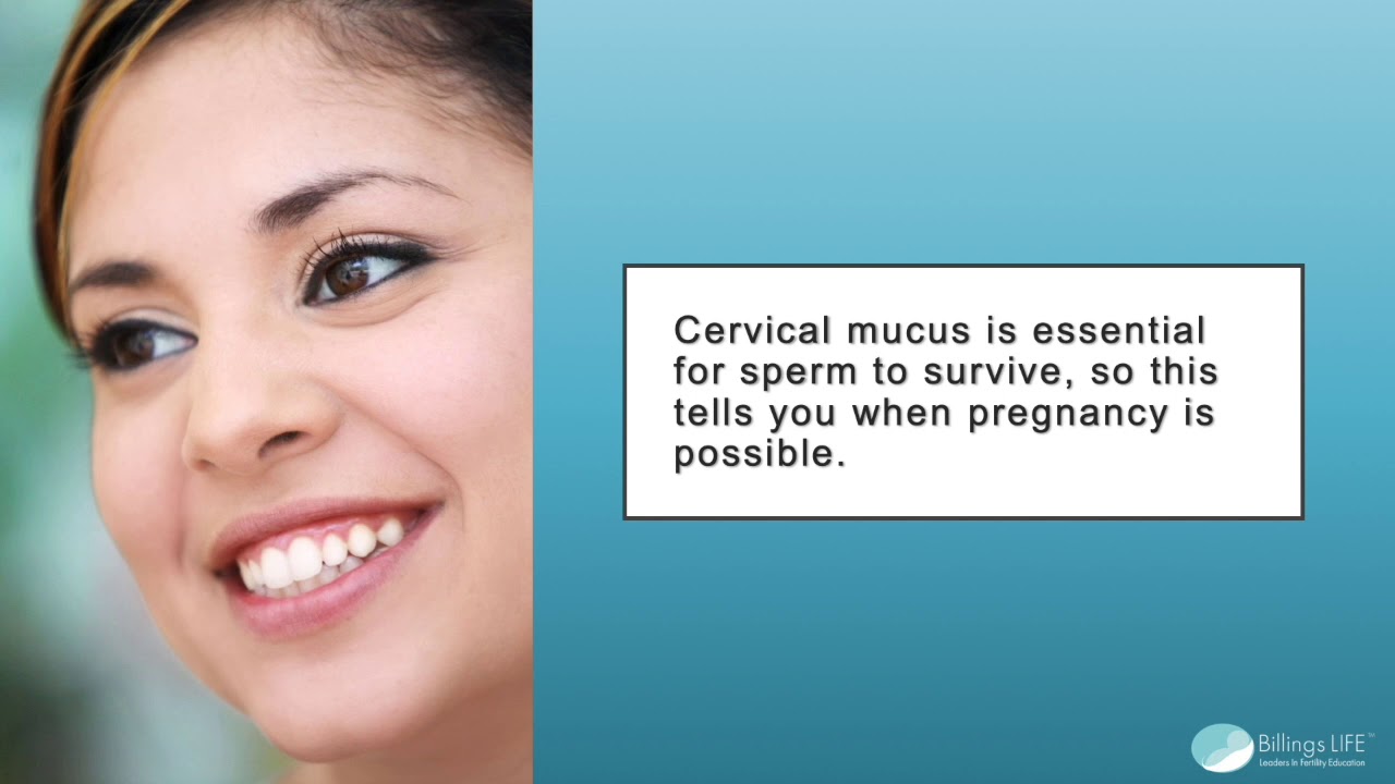 About the BIllings Ovulation Method - YouTube