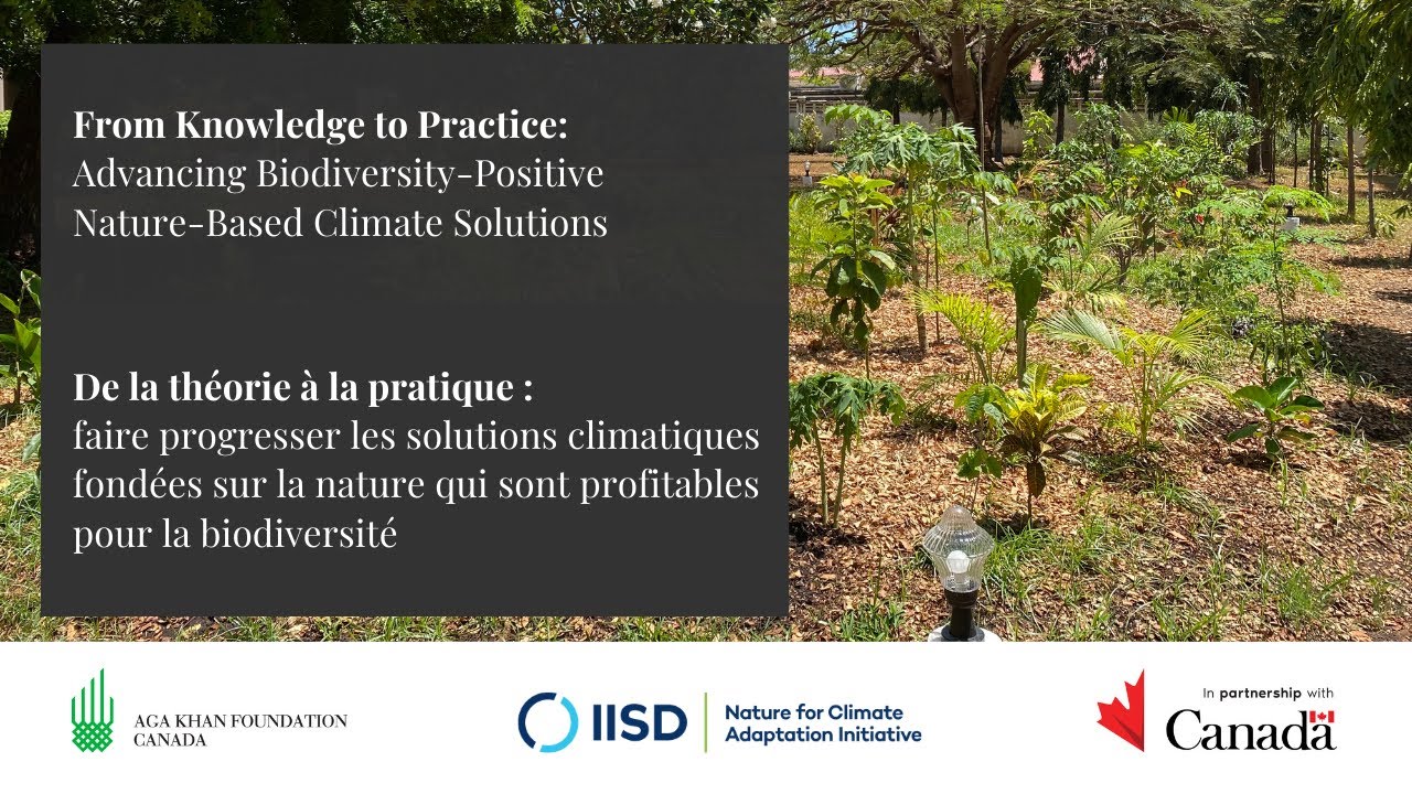 From Knowledge to Practice: Advancing Biodiversity-Positive Nature ...