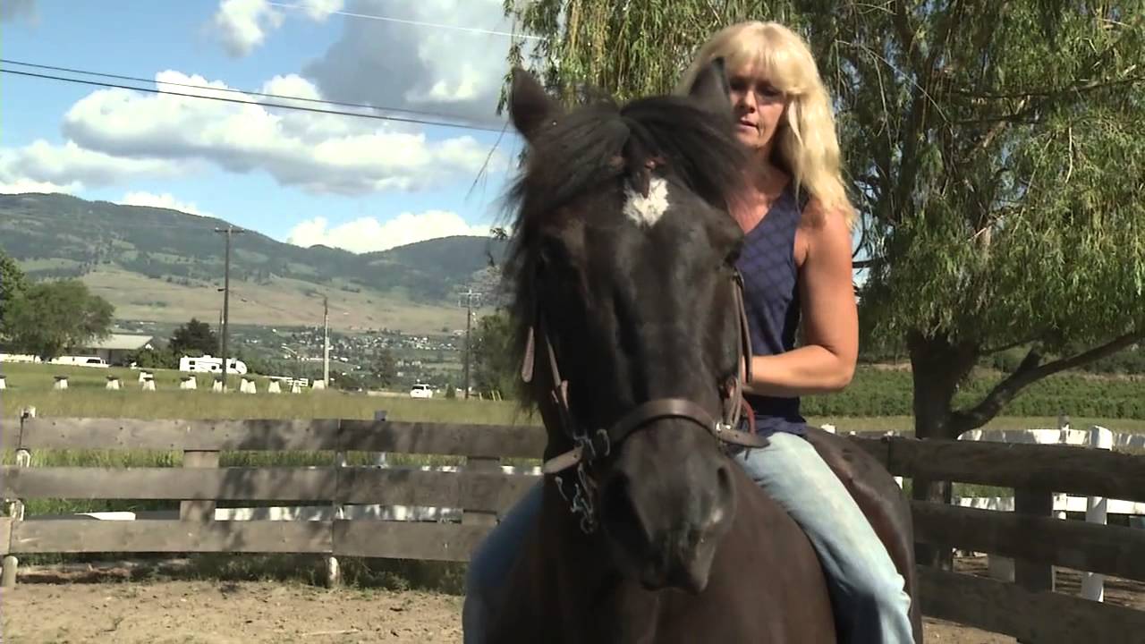 Wendy Barr - Horse Rescue - YouTube