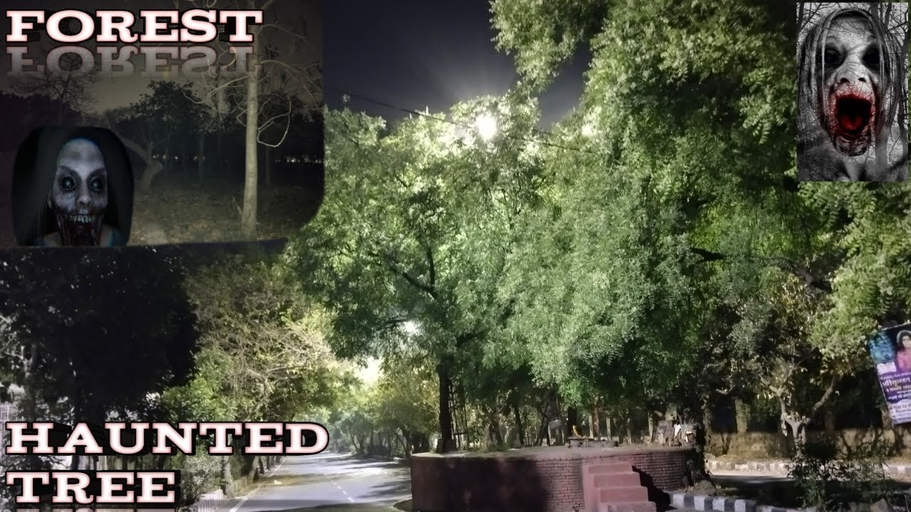 Dwarka sector 9 || Haunted tree ☠️ || #vlog #haunted #youtube - YouTube