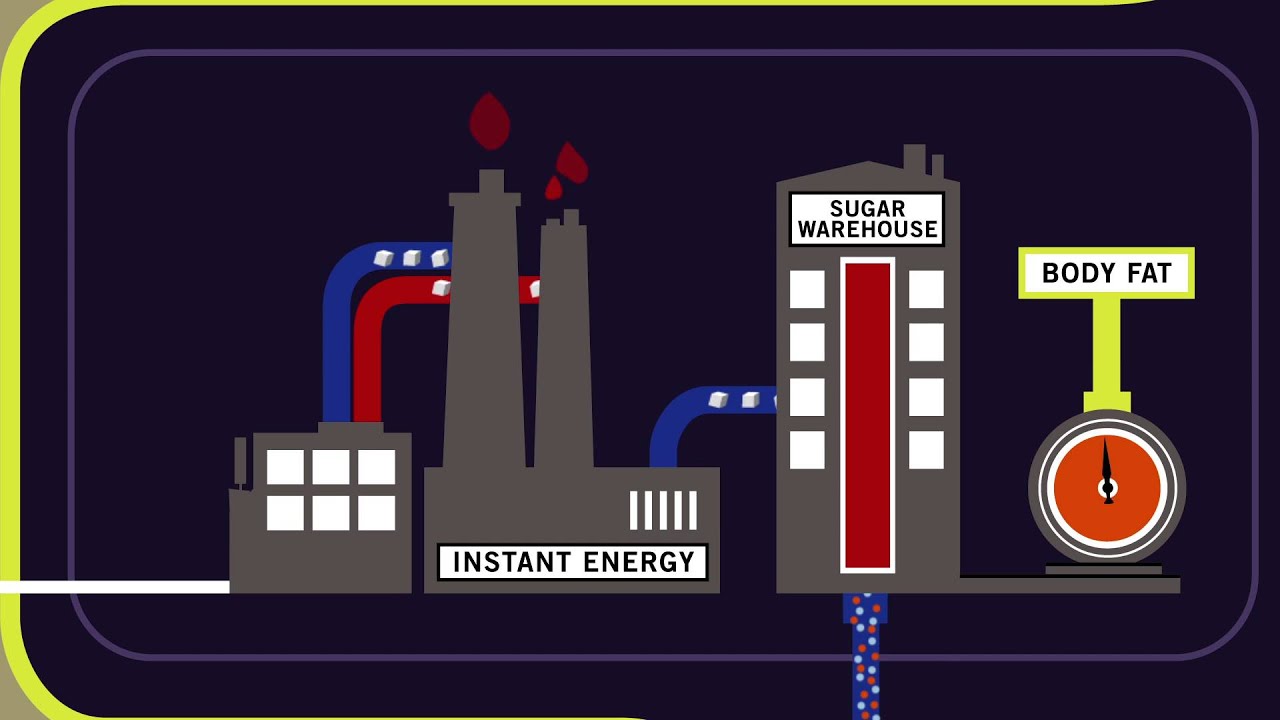 Your Body Processing Sugar Like a Factory - YouTube