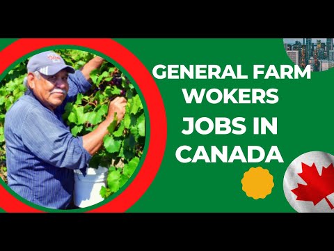 general farm worker jobs in canada| unskilled temporary farm work jobs ...