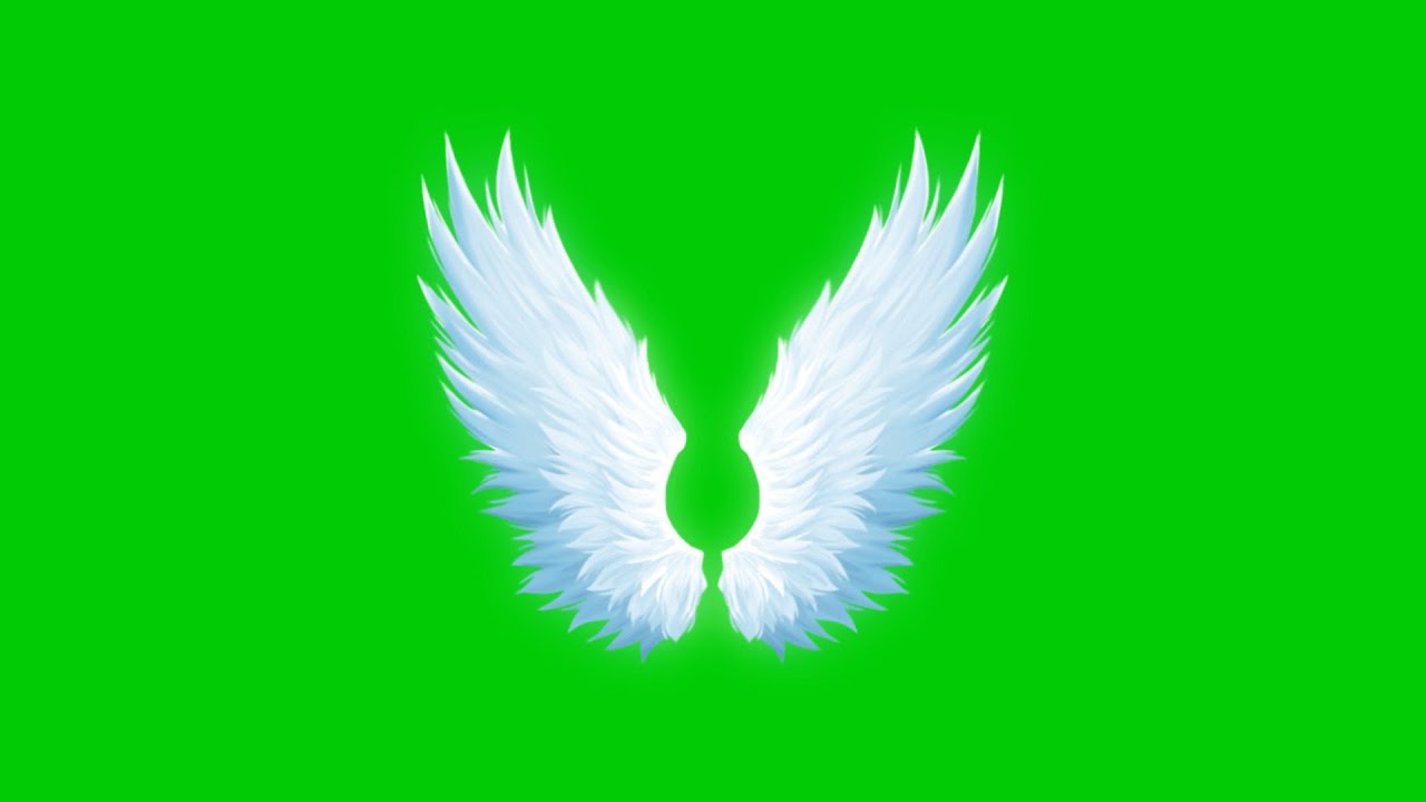Angel Wings Green Screen Video || Download and Use No Copyright # ...