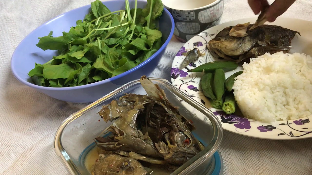 Healthy food (arugula/jarjer/rocca/jerjer) leaves - YouTube