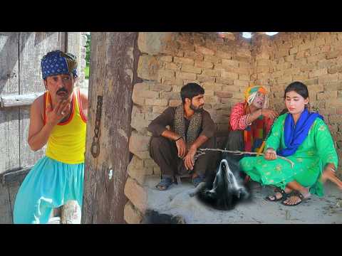 Number Daar Di Shitani Tu Rishta Ban Gya||Saraiki Funny Video Dadi 420 Shabo Comedy 2025