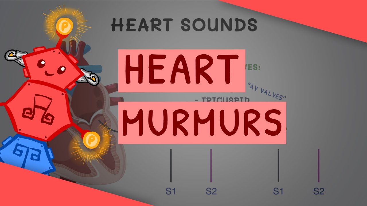 Cardiology for Beginners: Basics of Heart Sounds and Murmurs (with ...