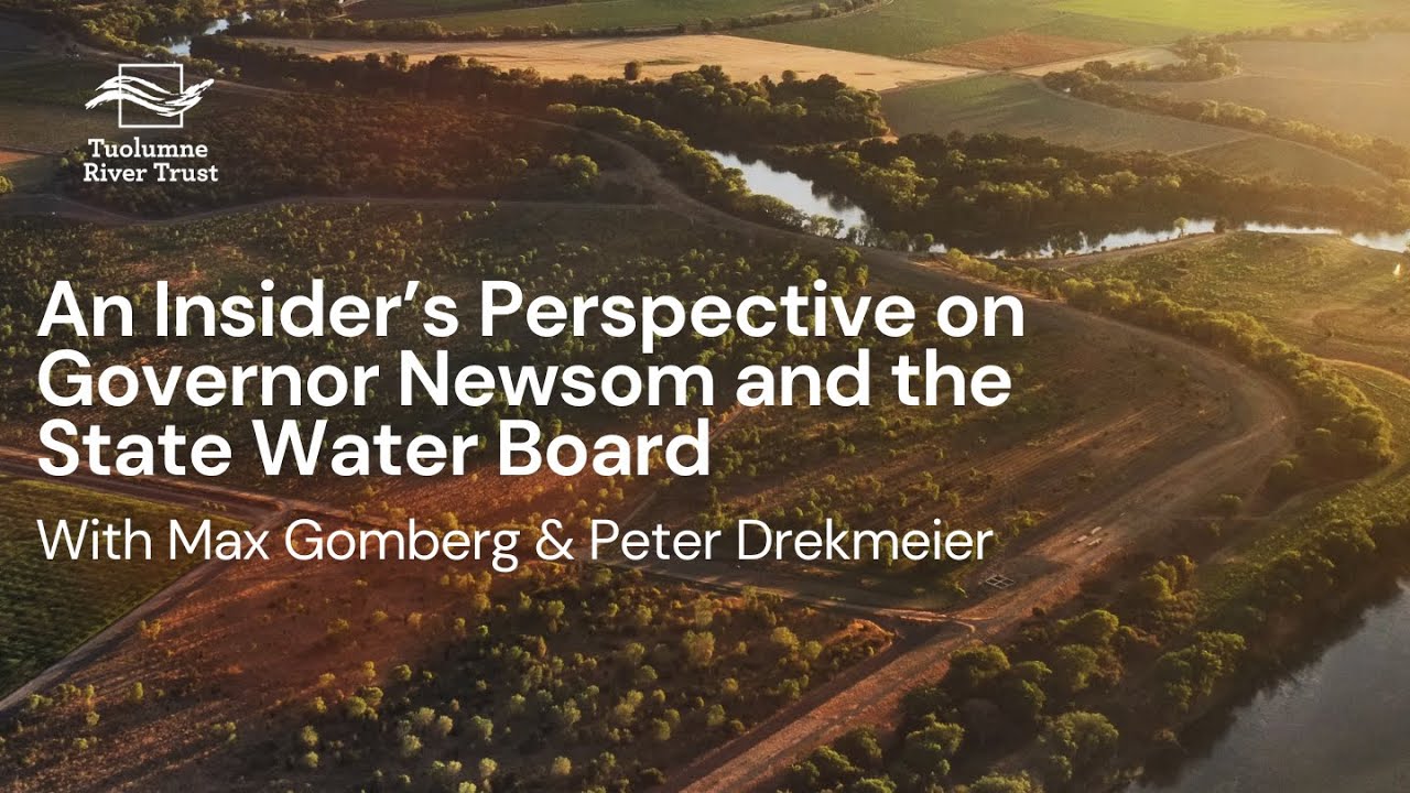 An Insider's Perspective on Governor Newsom and the State Water Board ...