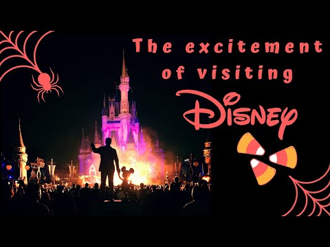 A Party at Magic Kingdom vlog | With Friends