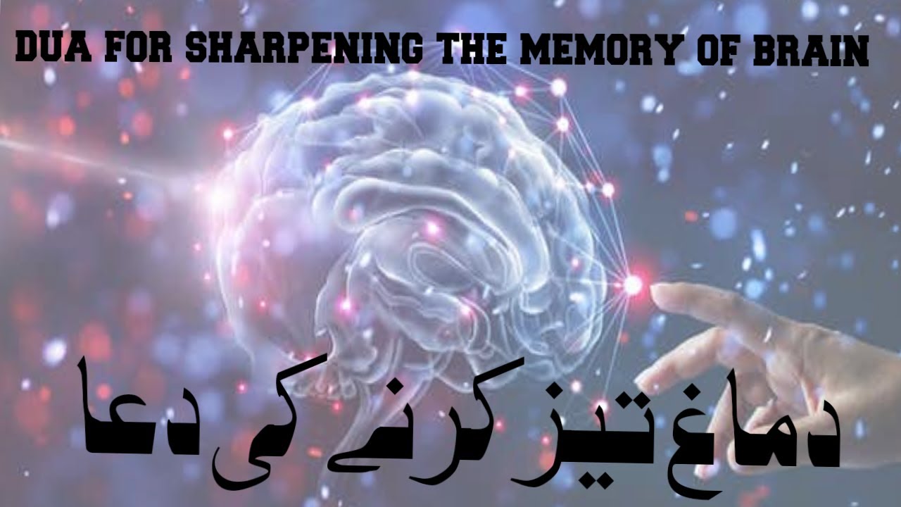 Dua for sharpening the memory of brain | Hafza taiz krny ki dua | dua ...