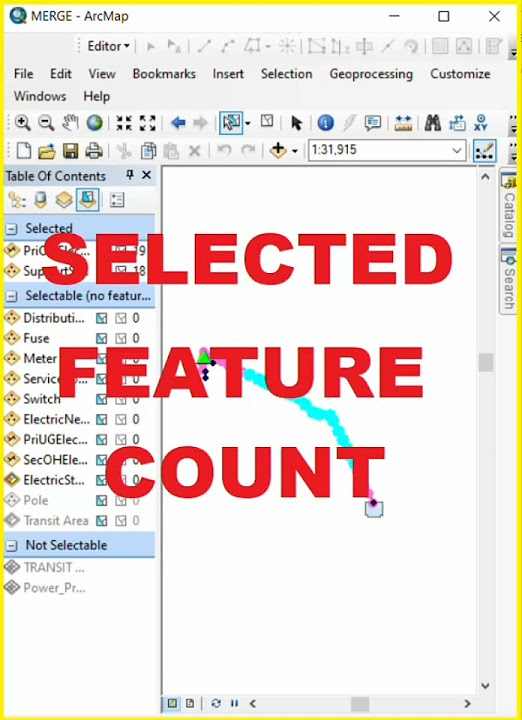 Selected Feature Count in ArcGIS #FeatureCount #GISAnalysis #ArcGISTips #sorts #viral #trending ...